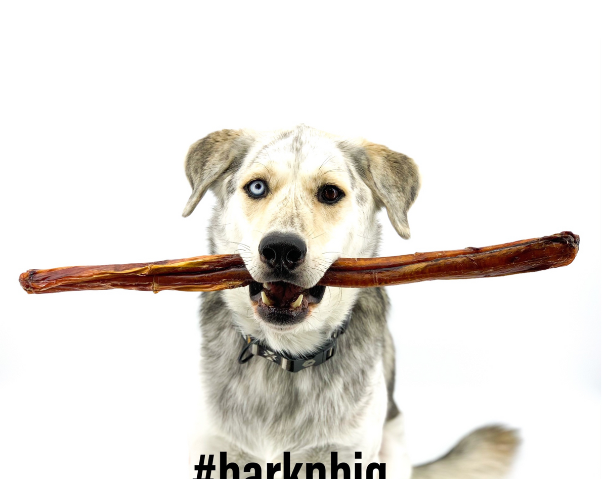 BarknBig Premium Dog Treats and Chews