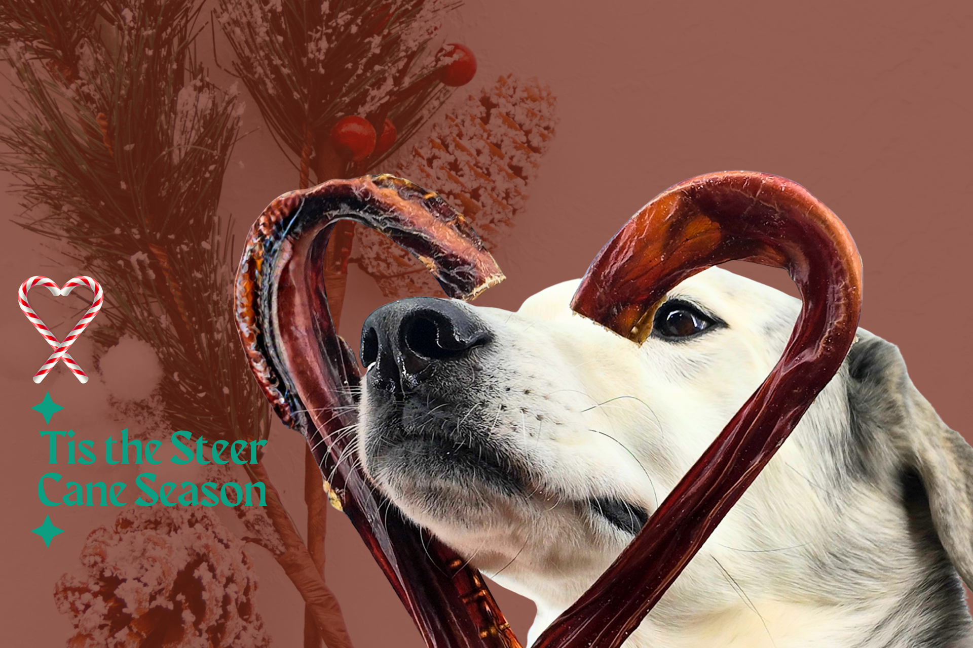 BarknBig Premium Dog Treats and Chews